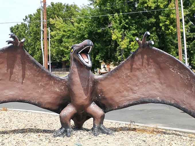 Wings spread wide in eternal flight, frozen mid-screech like it just spotted the world's best thermal updraft.