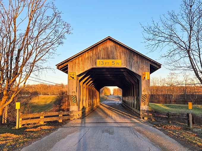 Sunset transforms the weathered wood into something that glows like it's been touched by Midas himself.