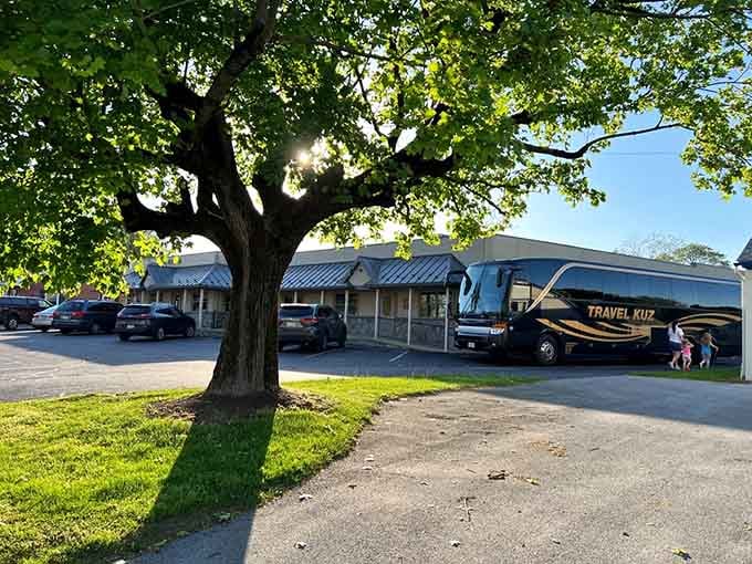 Plenty of parking space means the hardest decision is what to order, not where to park.