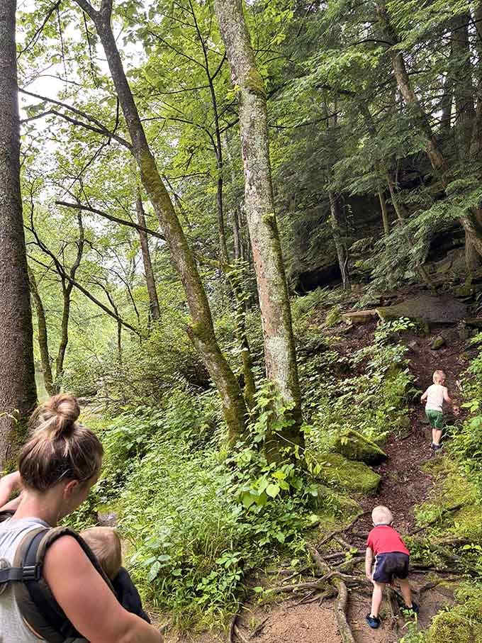 Young explorers navigate the trail like seasoned adventurers, creating memories that'll last longer than any video game.