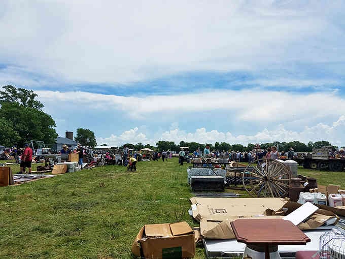 The outdoor market sprawls across the field, offering treasures that range from practical to absolutely perfect.