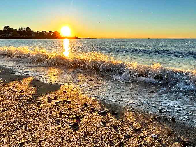 Sunrise catches waves mid-splash, creating that perfect moment when light and water collaborate on art together.