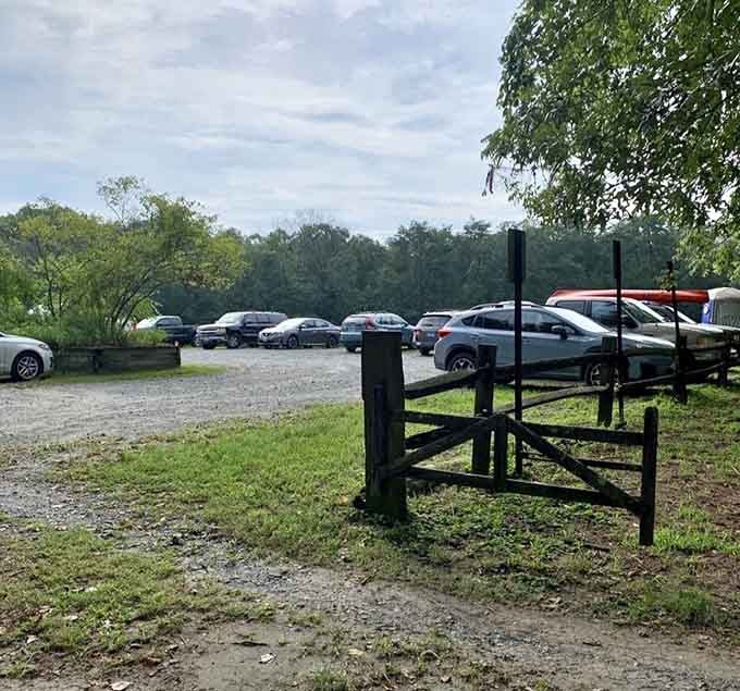 The parking area fills with cars as nature lovers arrive to trade concrete for something considerably more peaceful.