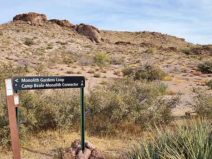 Those hiking trails wind through landscapes that make you understand why people crossed entire continents to reach the West.