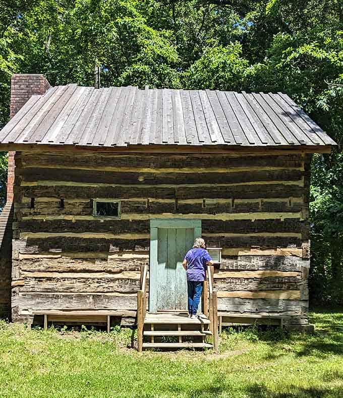 Nestled among towering trees, this cabin stands as testament to frontier determination and seriously impressive carpentry skills.