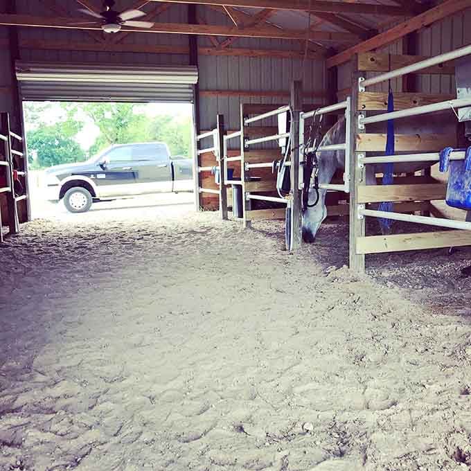 Inside the barn, everything has its place&mdash;tack, tools, and the quiet satisfaction of good organization.