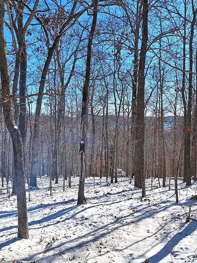 Winter transforms the park into a serene wonderland that looks like a Bob Ross painting come to life.