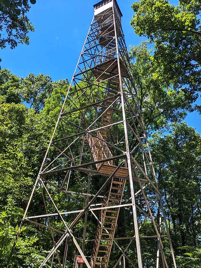 Climb the fire tower for views that'll make your Instagram followers question why they've never visited southern Indiana.