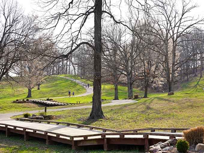 Winter's bare branches create intricate patterns against the sky, proving every season has its own kind of beauty here.