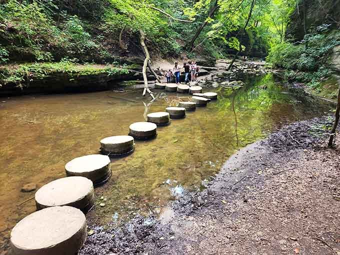 Stepping stones cross the shallow stream, turning a simple creek crossing into a playful adventure for all ages.