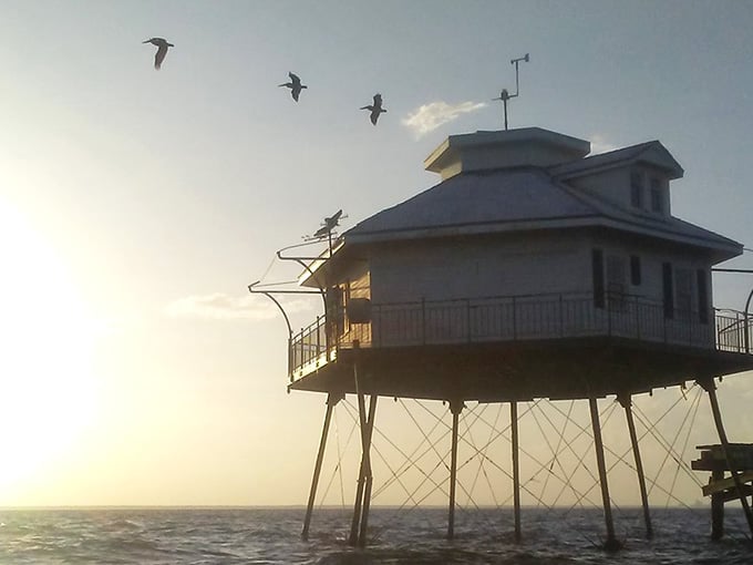 Pelicans flying past add that perfect touch of coastal life to an already spectacular scene.