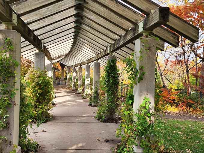 This pergola walkway proves that even the path to the falls understands the importance of dramatic presentation.