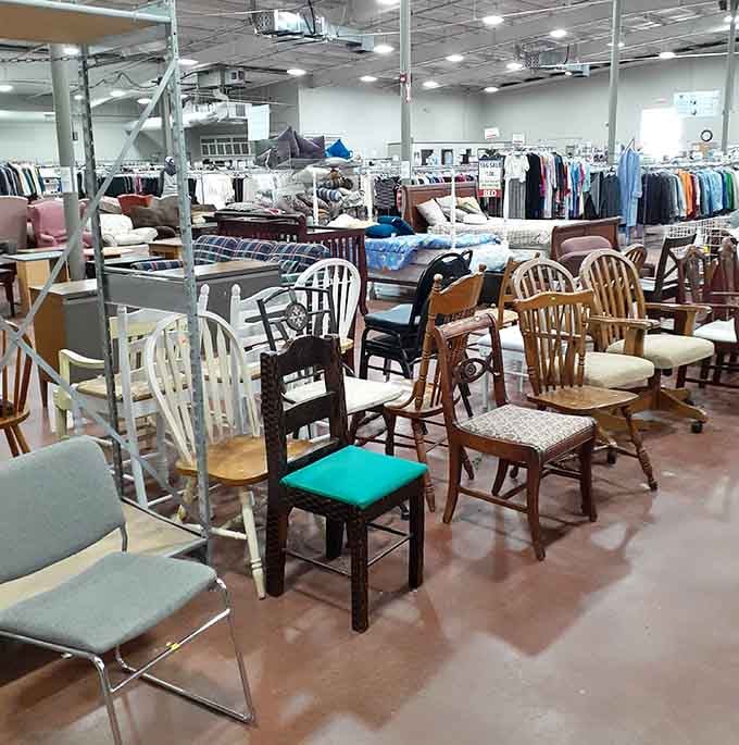 Chairs of every style and era mingling together, creating an eclectic furniture showroom that designers would envy.