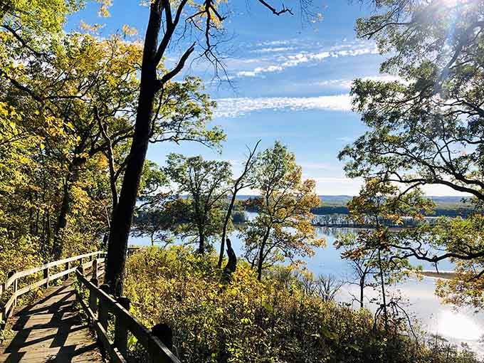 Morning light dances across the water through twisted oak branches, creating a scene worthy of a landscape painter's canvas.