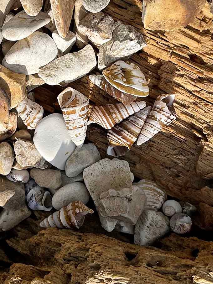 Nature's gift shop costs nothing and offers everything, from striped beauties to smooth lake-worn gems.