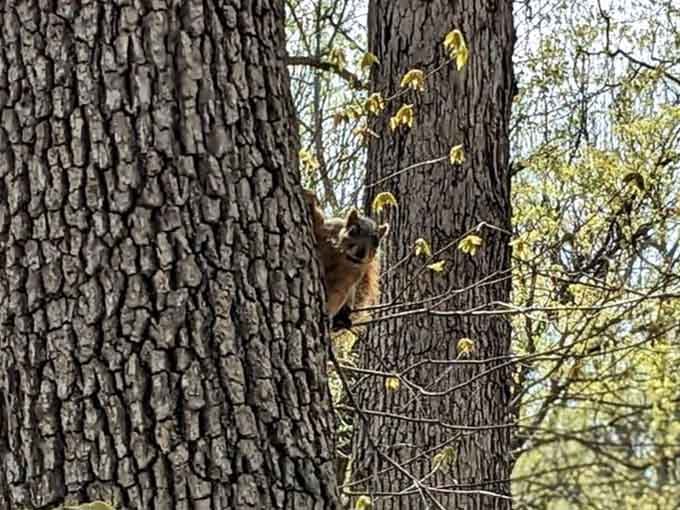 Local wildlife clearly didn't get the memo about respecting personal space or photo opportunities here.