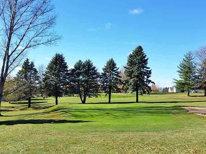 Manicured fairways stretch beneath towering pines, offering golfers a challenging course wrapped in natural Wisconsin beauty.