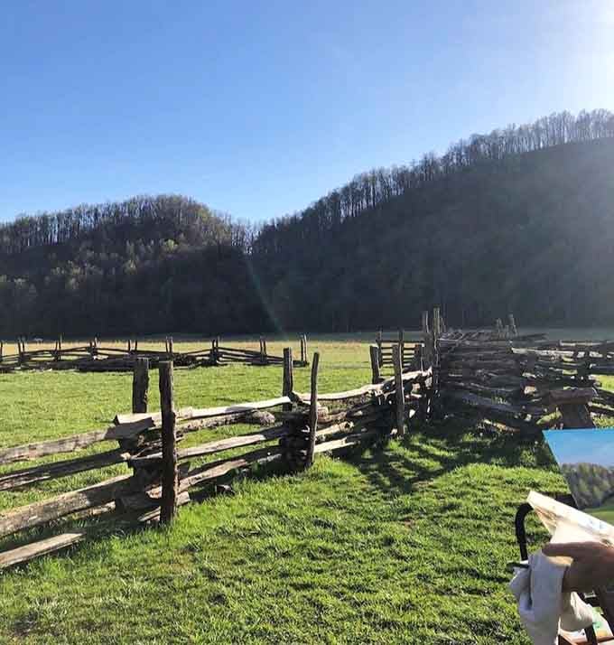 Morning mist rises over split-rail fences, creating atmosphere that no theme park could ever authentically replicate.