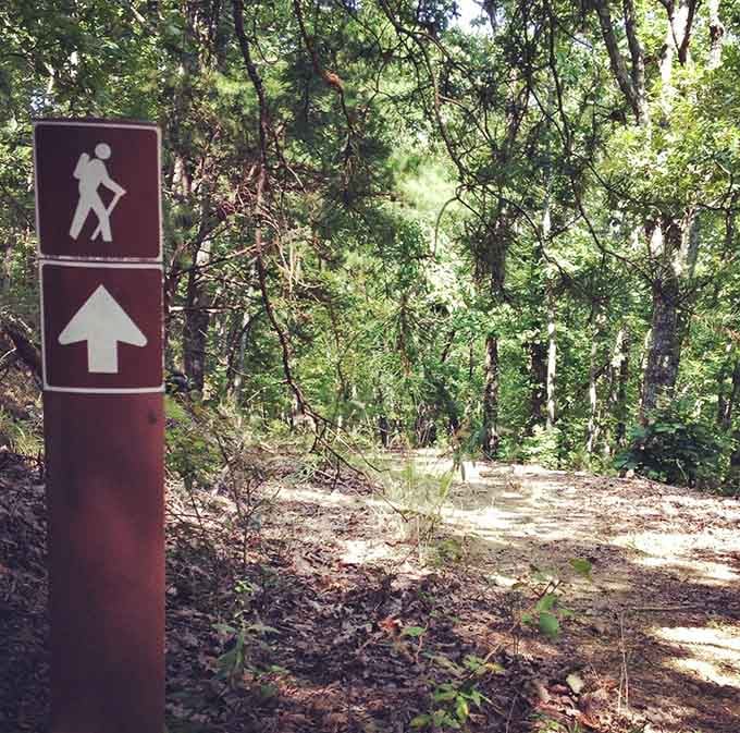 Trail markers guide you forward, promising more discoveries around every bend in this expansive natural sanctuary today.