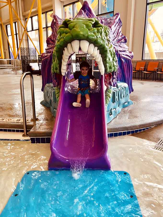 This colorful creature slide proves that sometimes the best thrills come from sliding through a monster's mouth willingly.