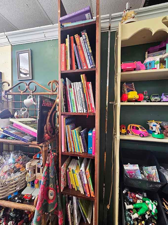 Colorful spines line these shelves alongside vintage toys, creating a nostalgic trip down memory lane.
