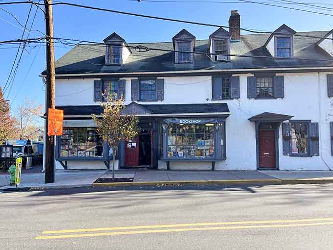 Farley's Bookshop occupies a classic storefront where real pages still trump pixels and browsing is an art form.
