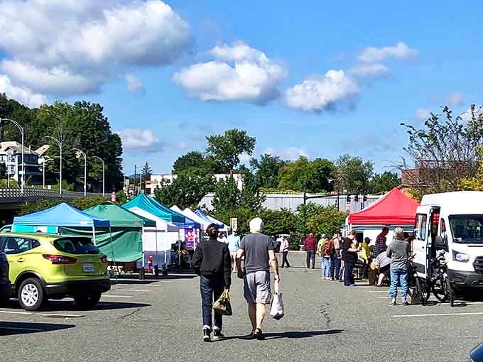 Farmers market buzz where locals gather, proving community connection costs nothing but shows up priceless on life's balance sheet.