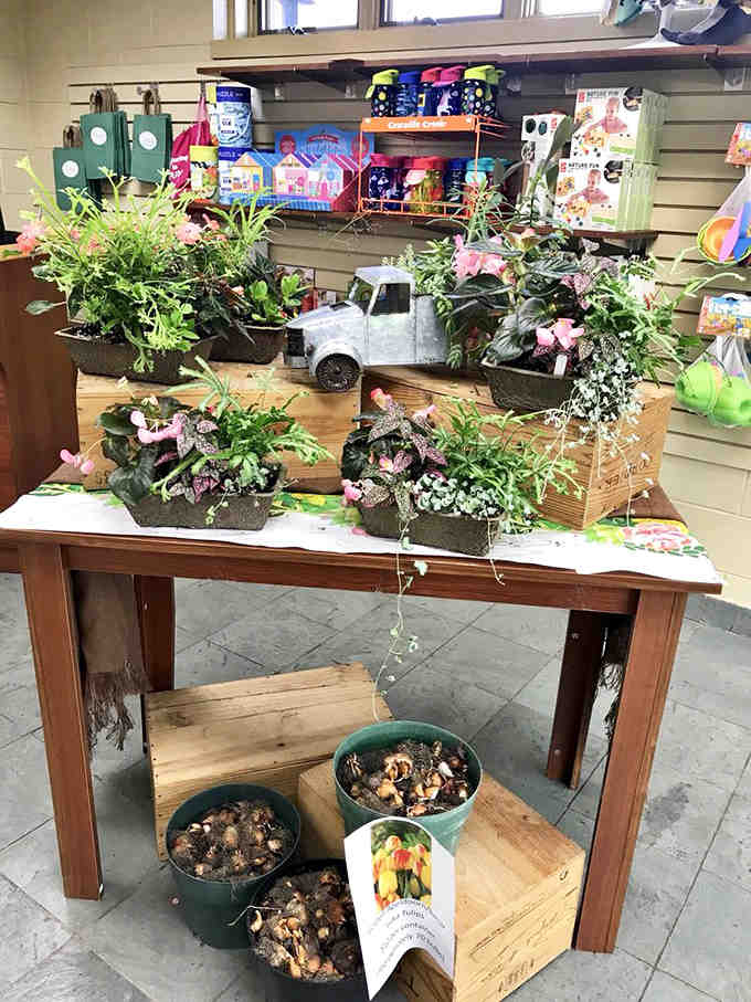 The gift shop offers plant treasures and garden goodies for taking a piece of paradise home.