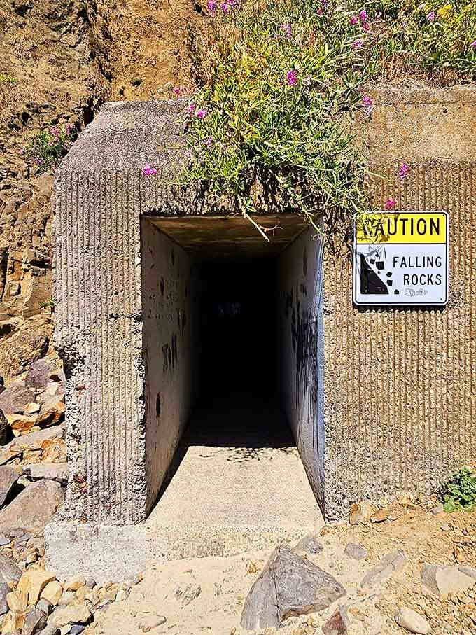 The tunnel entrance warns of falling rocks, which is nature's way of saying "adventure ahead, proceed with reasonable caution."