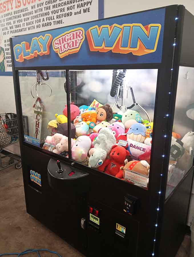 A claw machine adding unexpected arcade nostalgia to your bargain hunting adventure here today.