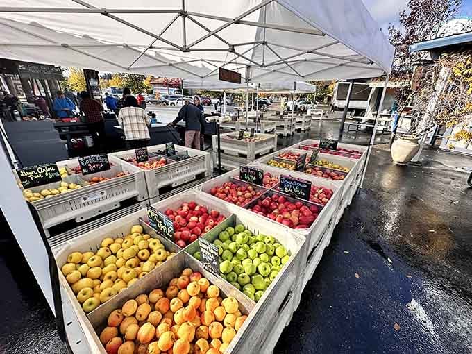 The Farmers Market overflows with fresh produce, local crafts, and that community energy you can't fake or manufacture.