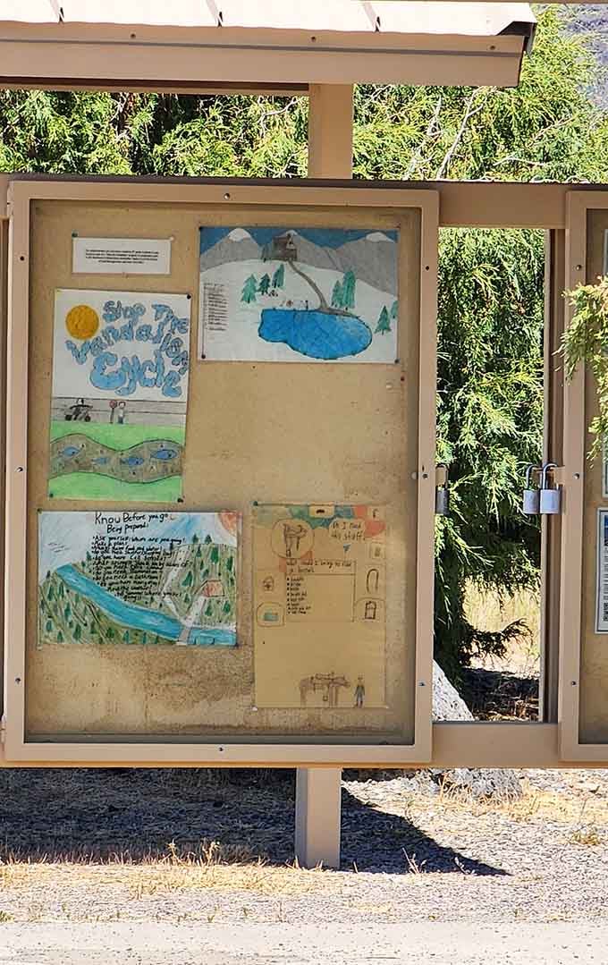Local creativity shines through in these charming displays celebrating the natural wonders that make this region truly special.