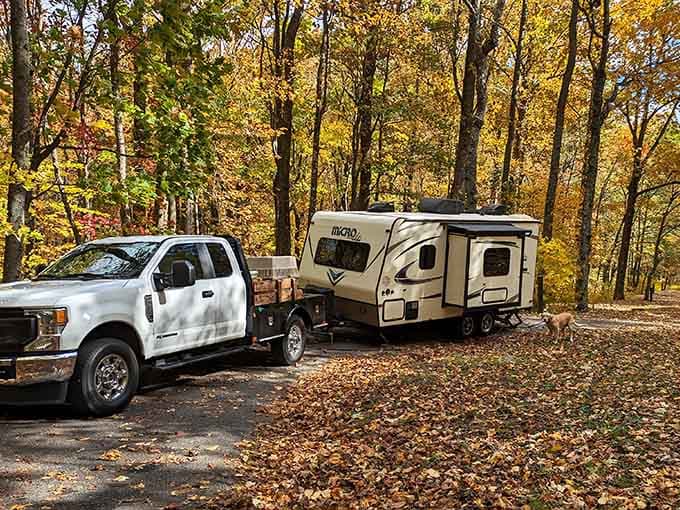Fall camping among golden trees means waking to crisp air and colors that make you forget about missing your comfortable bed.