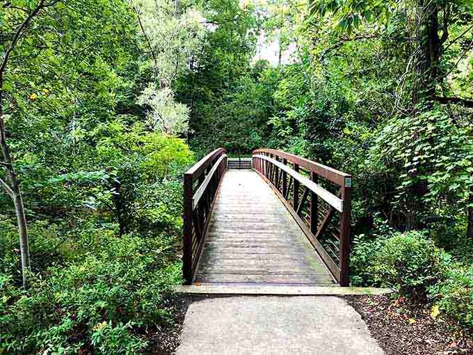 A wooden footbridge through lush greenery is nature's way of saying "slow down, take a breath, and enjoy the simple things already."