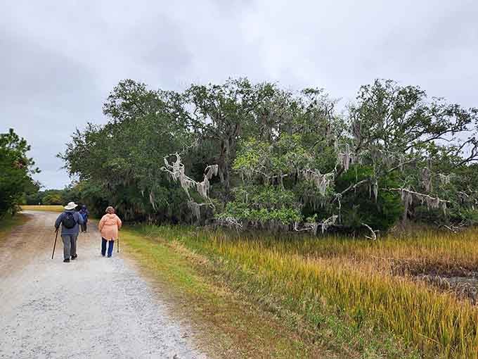 Explorers stroll past golden marshes where the only soundtrack needed is birdsong and the crunch of gravel underfoot.