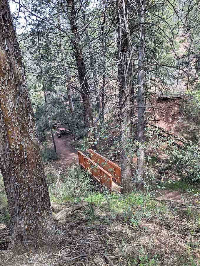 A small footbridge crosses the creek where a picnic table waits for hikers smart enough to pack lunch.