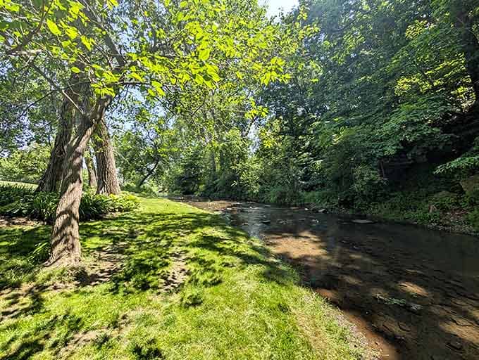 Katie's Garden flows alongside the creek, where nature does its thing without charging admission or requiring advance reservations.