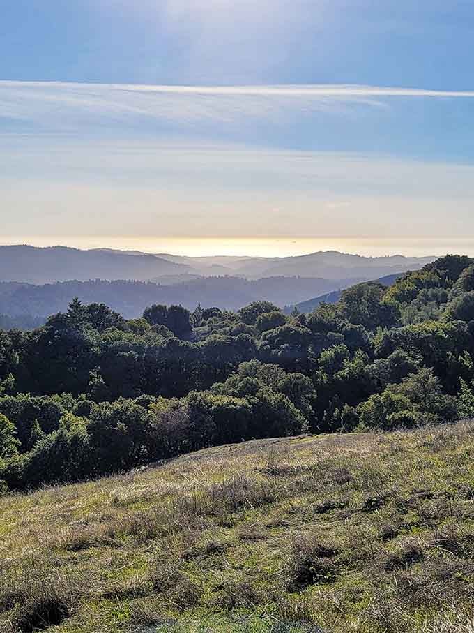 Summit views that remind you why climbing uphill is occasionally worth the cardiovascular workout and complaining.