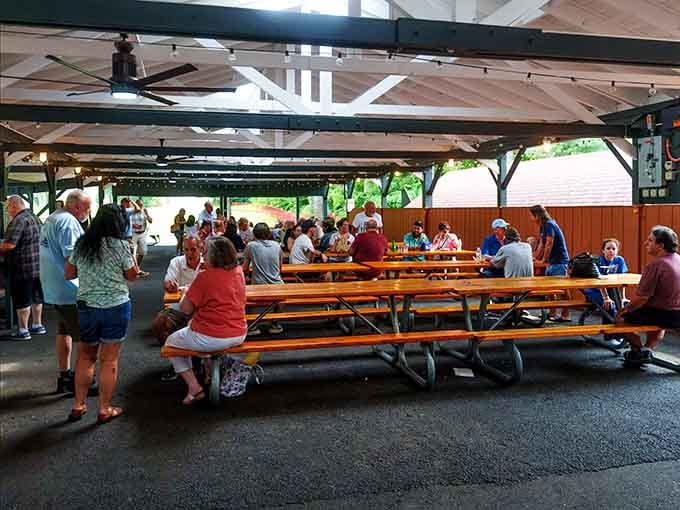 Covered picnic tables provide shaded refuge where families refuel between adventures and compare battle stories.