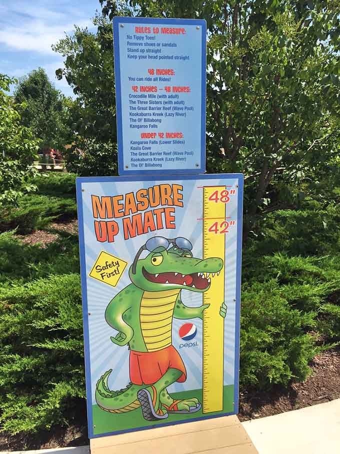 The height measuring station determines who's ready for the big slides, crushing dreams and building anticipation simultaneously.