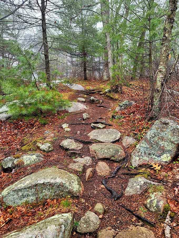 Autumn leaves blanket the rocky trail in copper tones, creating nature's own Persian rug beneath your hiking boots.