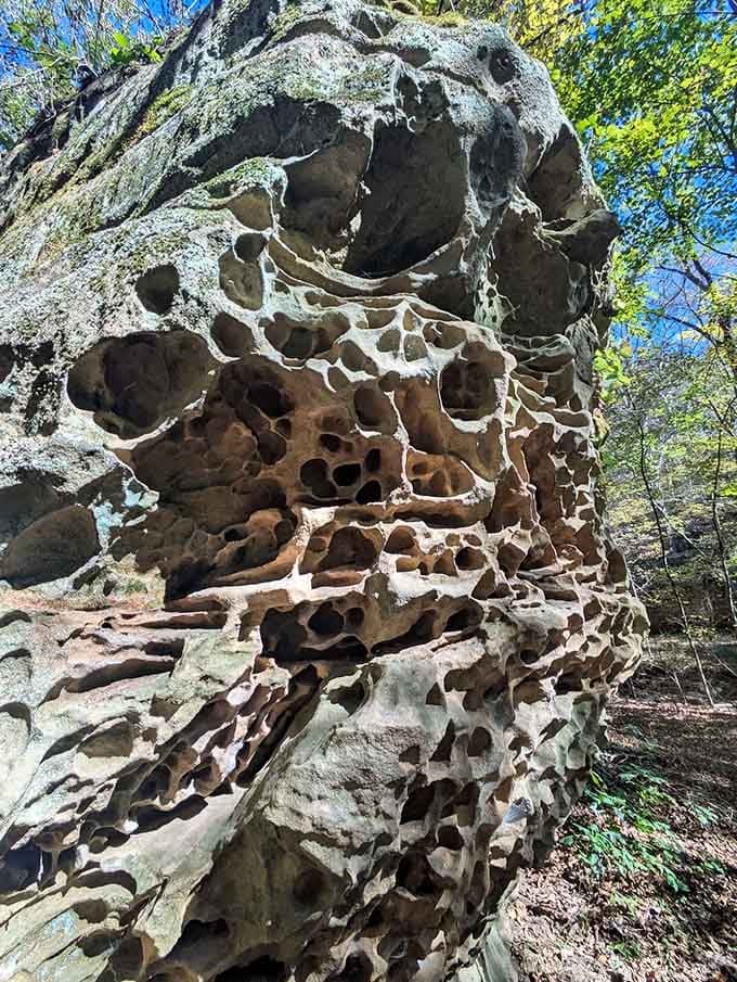 Wind and water carved these honeycomb patterns over millennia, creating abstract art that puts modern sculpture to shame.