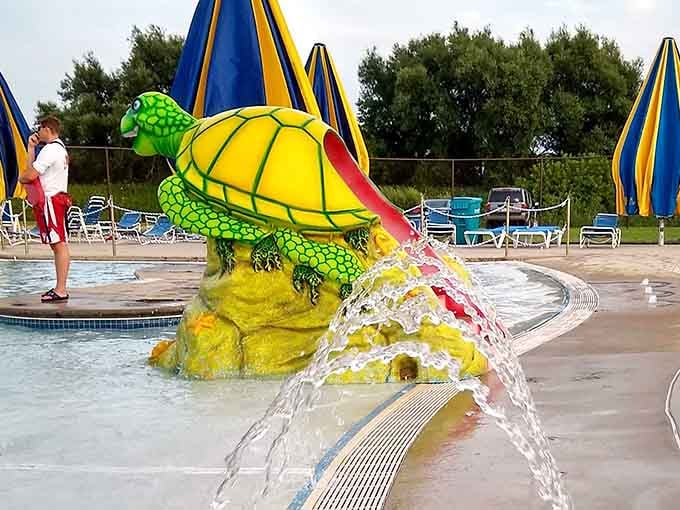 A cheerful turtle sprays water like he's been waiting all winter to welcome you back again.