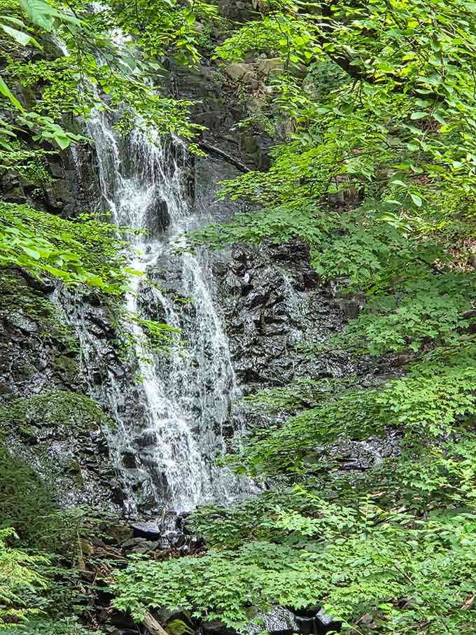 Spring runoff transforms the falls into a thundering spectacle, proving that good things are definitely worth the muddy hike.