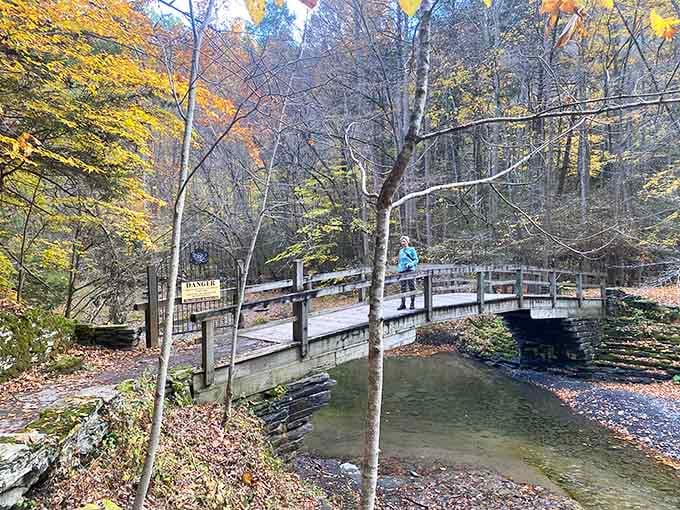 Wooden bridges crisscross the creek throughout the gorge, offering perfect vantage points for waterfall viewing and contemplative moments of natural wonder.