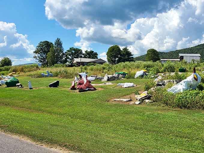 The surrounding landscape proves that sometimes the best attractions are the ones that blend seamlessly with Alabama's natural beauty.