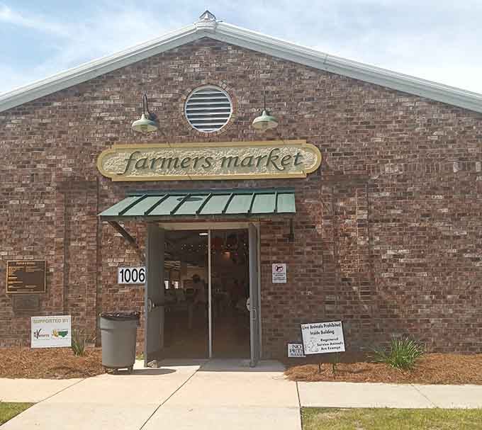 The Farmers Market connects you directly with local growers who know exactly where your tomatoes came from this morning.