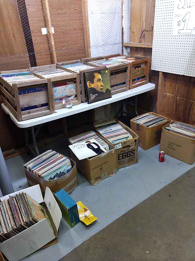 Crates of vinyl records waiting to spin stories and melodies that streaming services just can't replicate with the same soul.