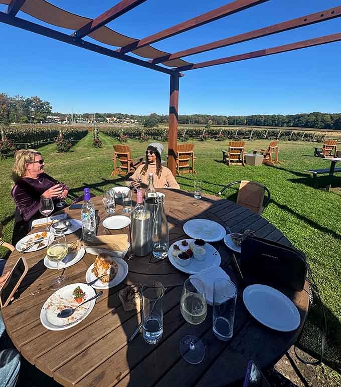 Al fresco dining with vineyard views and pergola shade, where your biggest decision is whether to order another bottle or just another glass.