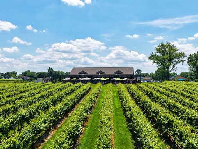 Rows of grapevines stretching toward the horizon&mdash;Napa Valley called and said they're officially jealous of Voorhees.